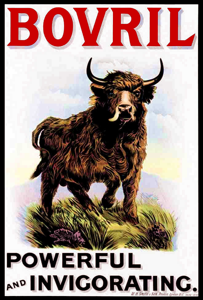 Bovril – Isabella Alden